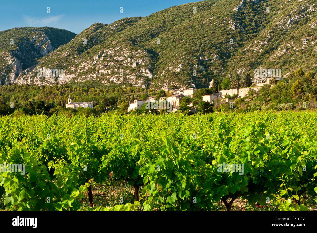 The village of Maubec and Vineyard nestled at the foot of the Luberon ...