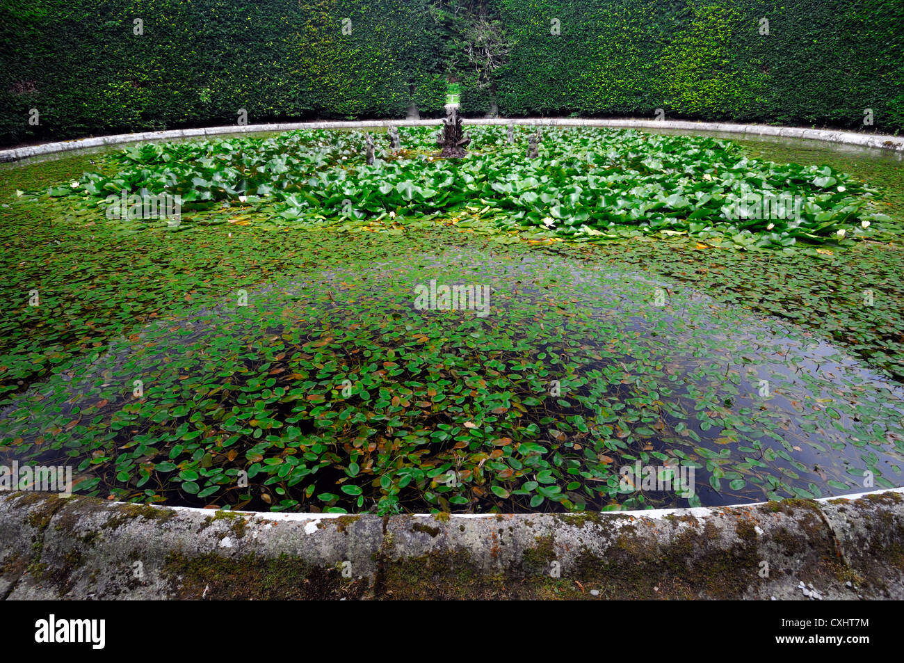 Circular hedge hi-res stock photography and images - Alamy