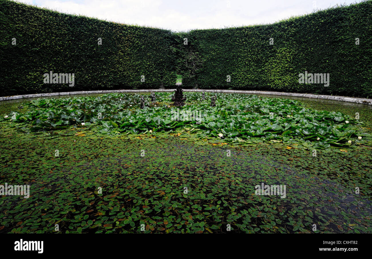 Circular hedge hi-res stock photography and images - Alamy