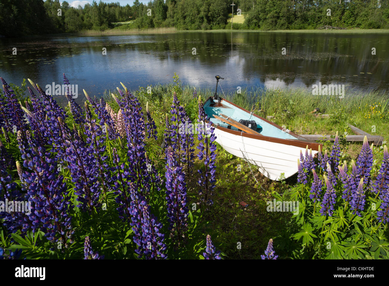 Dinghy Beached Waterway High Resolution Stock Photography and Images ...