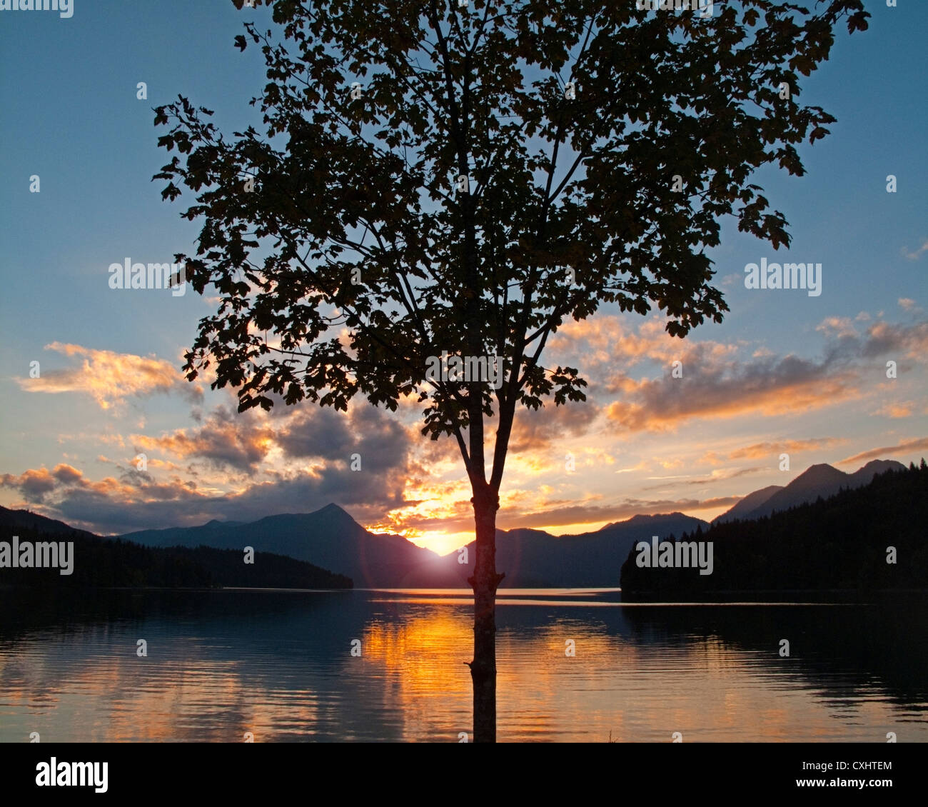 Walchensee walchen hi-res stock photography and images - Alamy