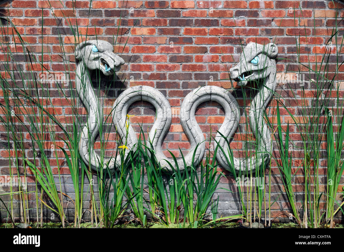 Two headed snake hi-res stock photography and images - Alamy