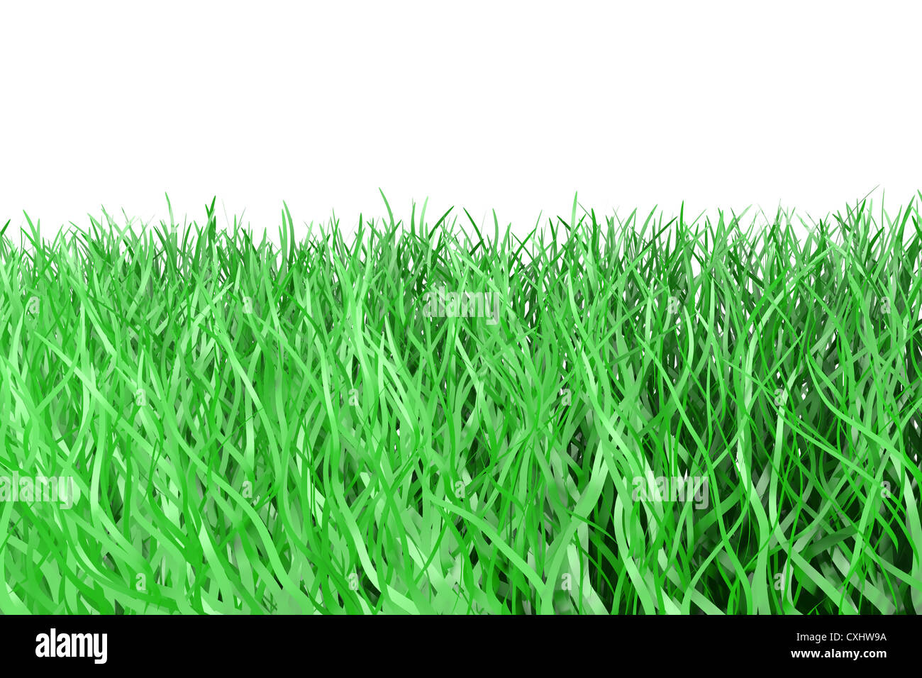 A grass line Stock Photo - Alamy