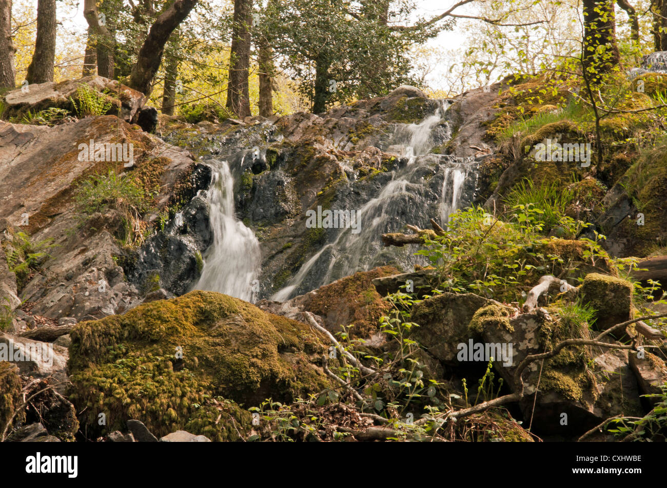 Coppice lane hi-res stock photography and images - Alamy