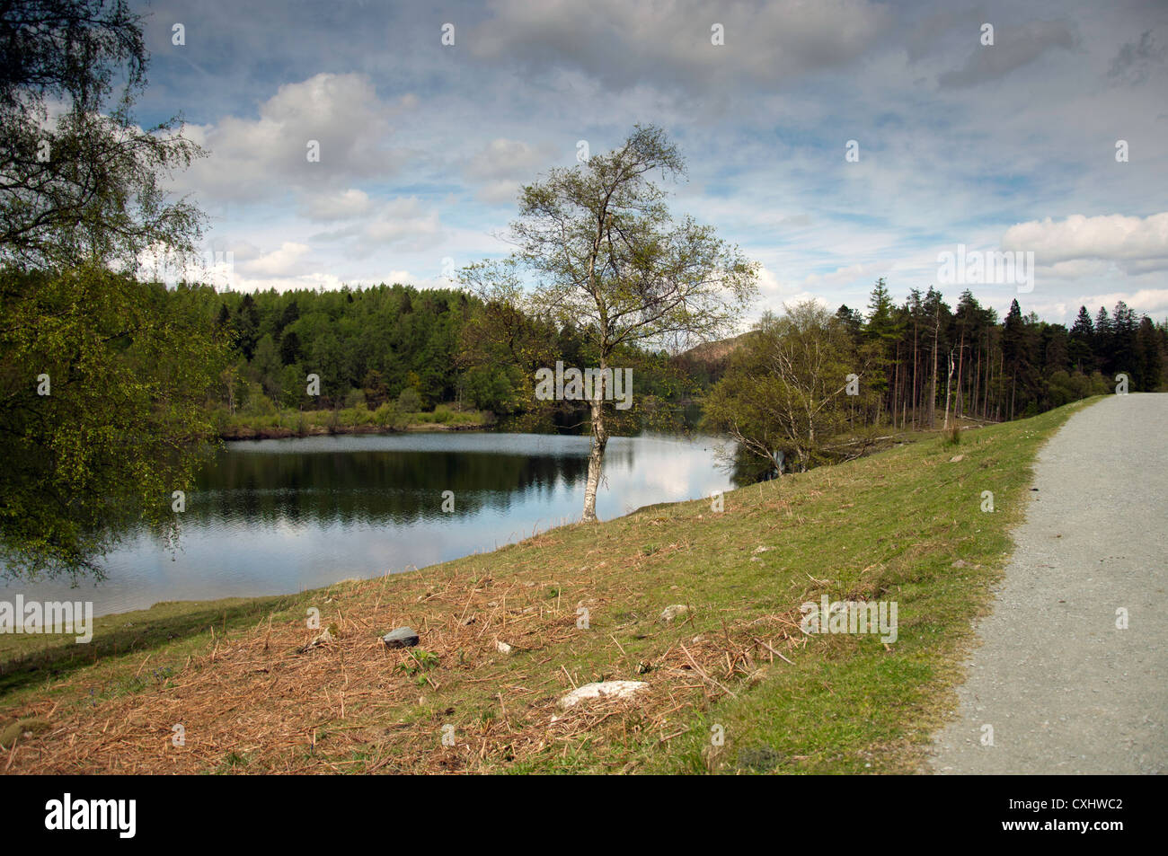 The Tarns at Tarn How's Stock Photo - Alamy