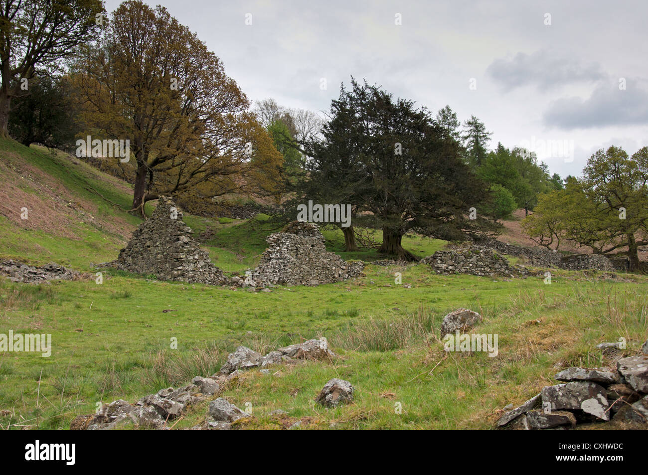 Hilleside features around Tarn How's of a demolished stone cottage ...