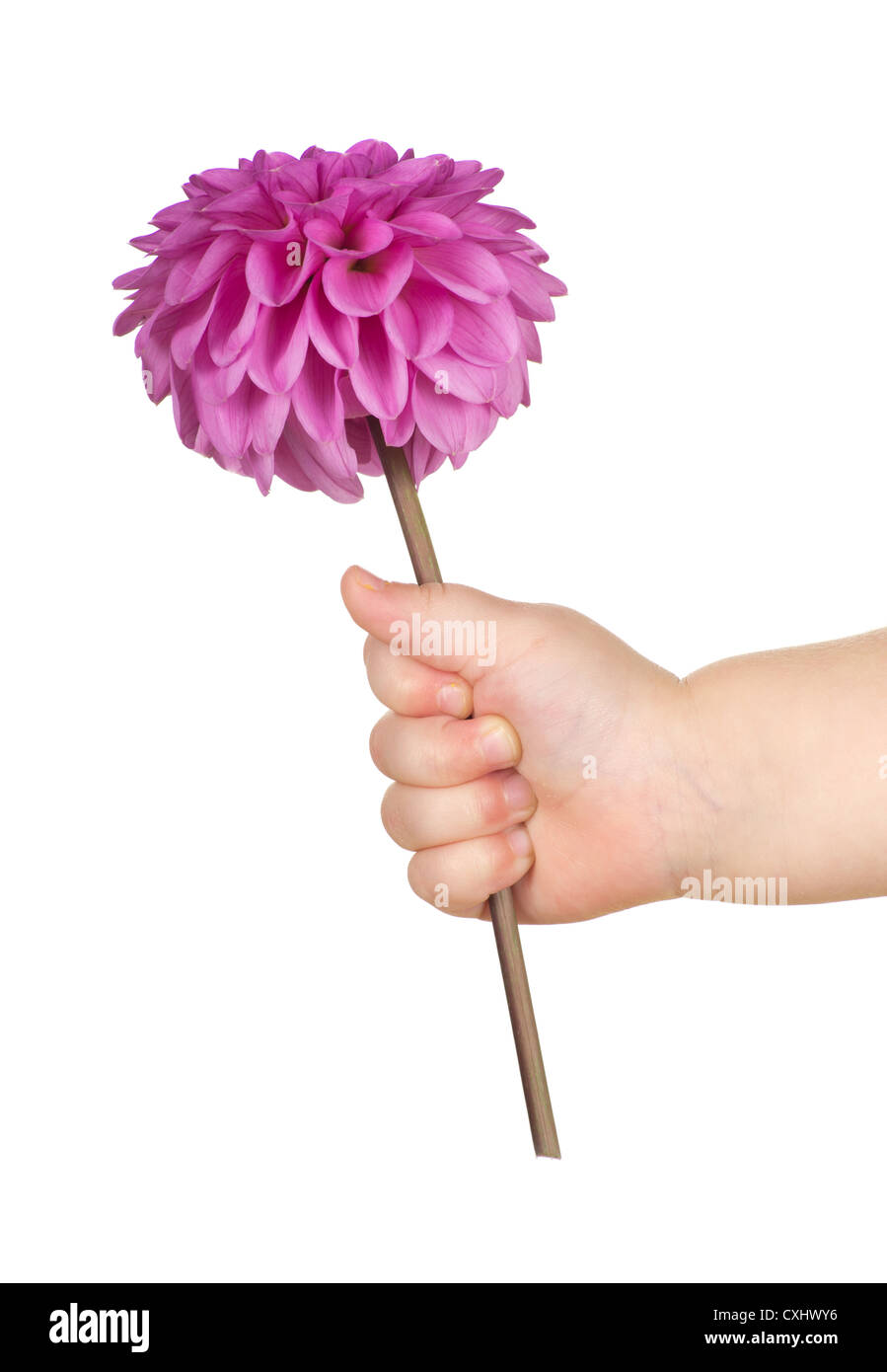 Flower gift baby hand hi-res stock photography and images - Alamy