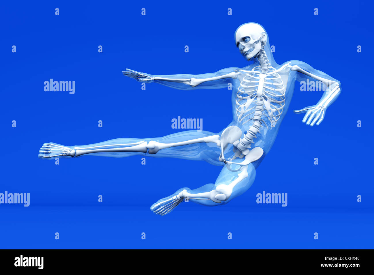 Anatomy - jump Stock Photo - Alamy