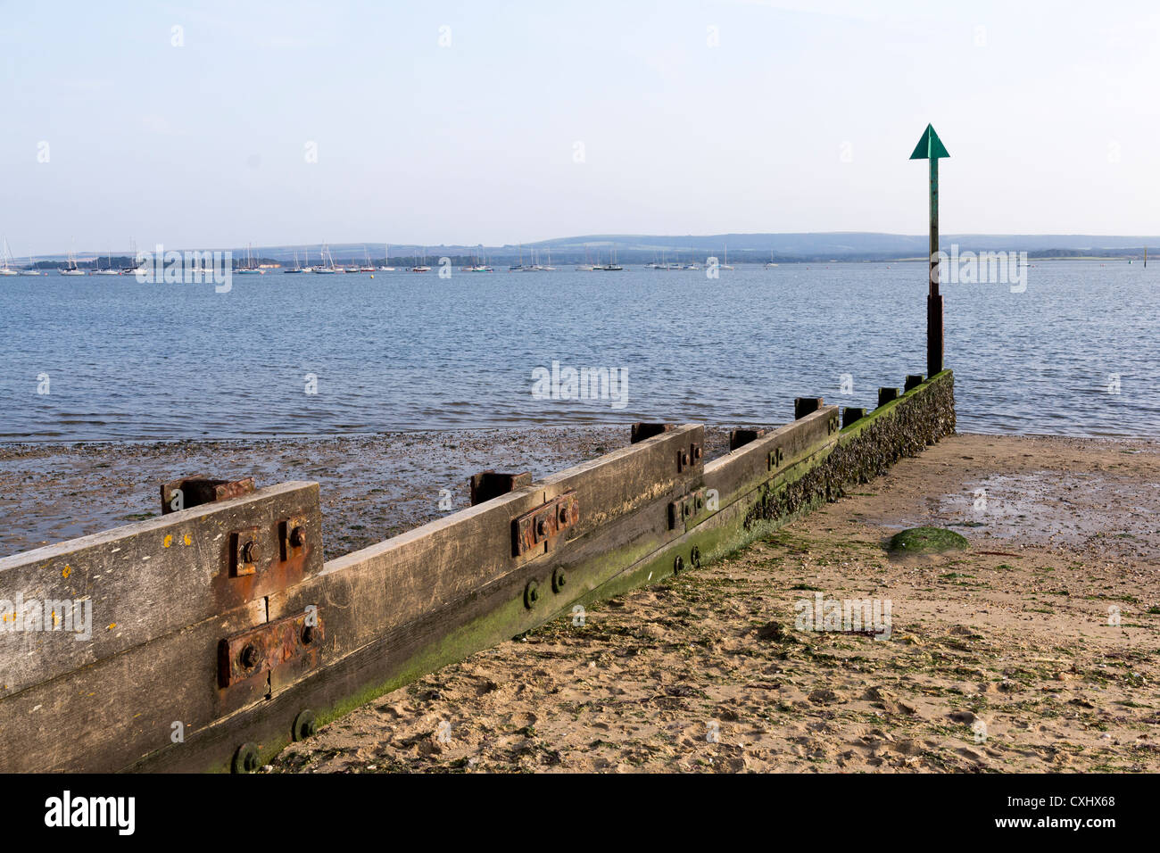 Timber Groyne at Hamworthy Park near Poole Dorset England UK Stock ...