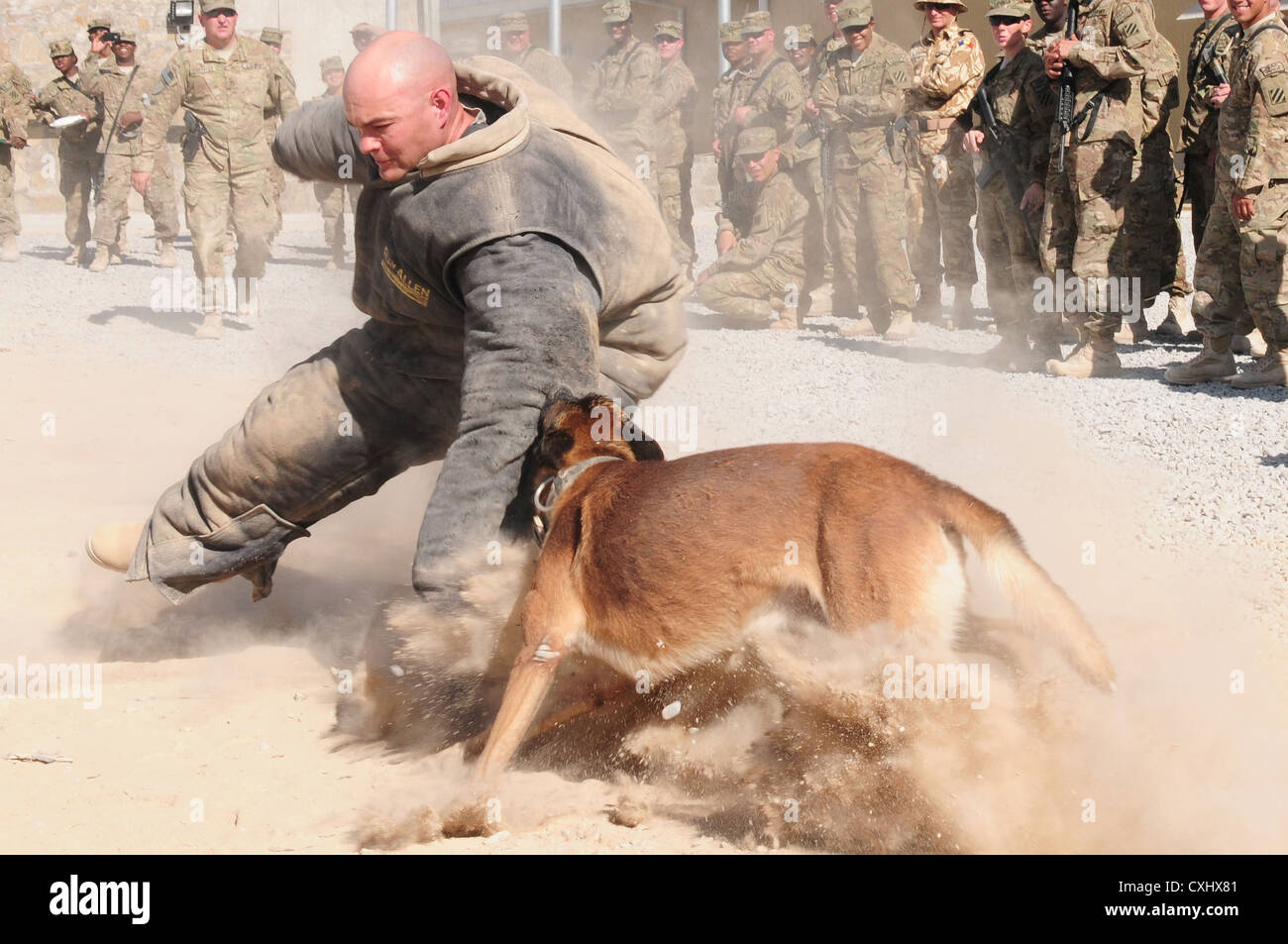 A US Army soldier wears a protective suit while being attacked by a ...
