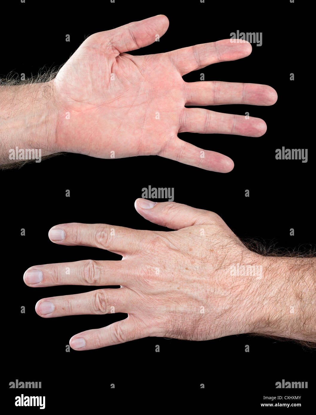 The front and back side of a male human hand showing detailed finger ...