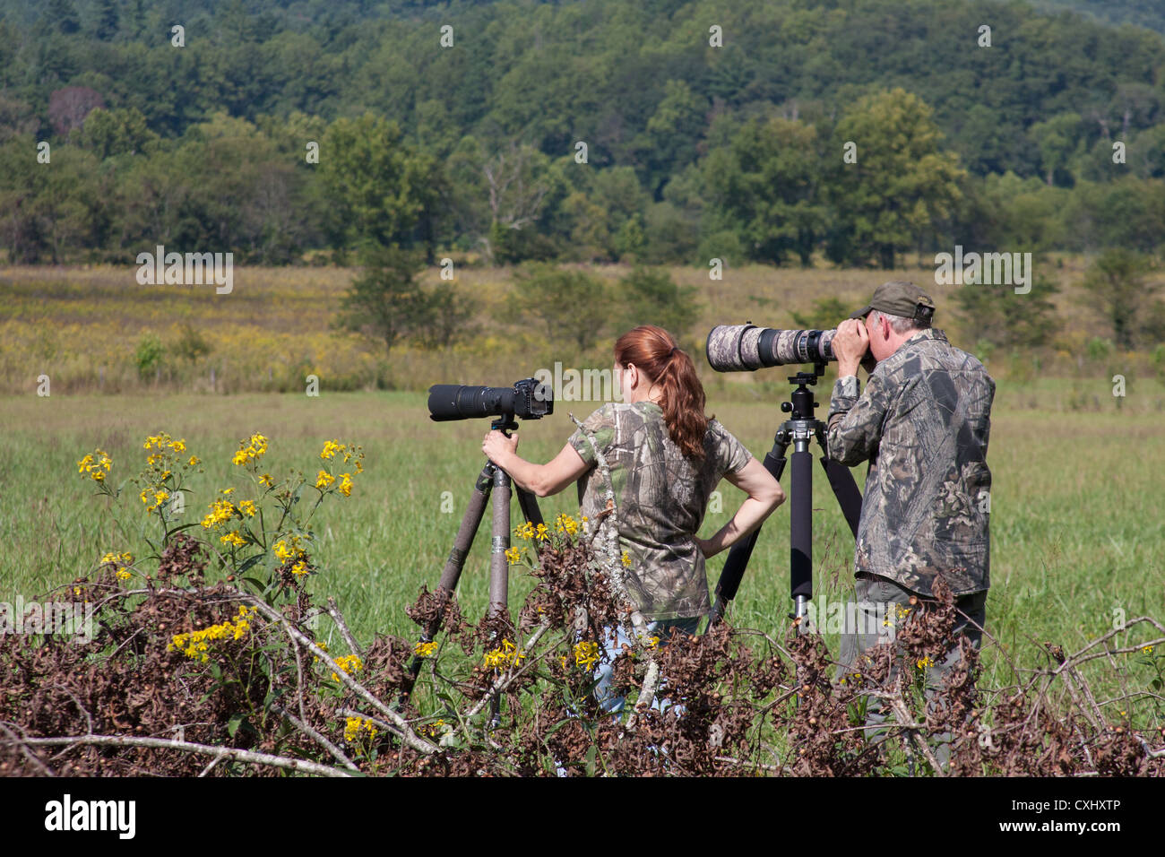 Photographers At Work Stock Photo - Alamy
