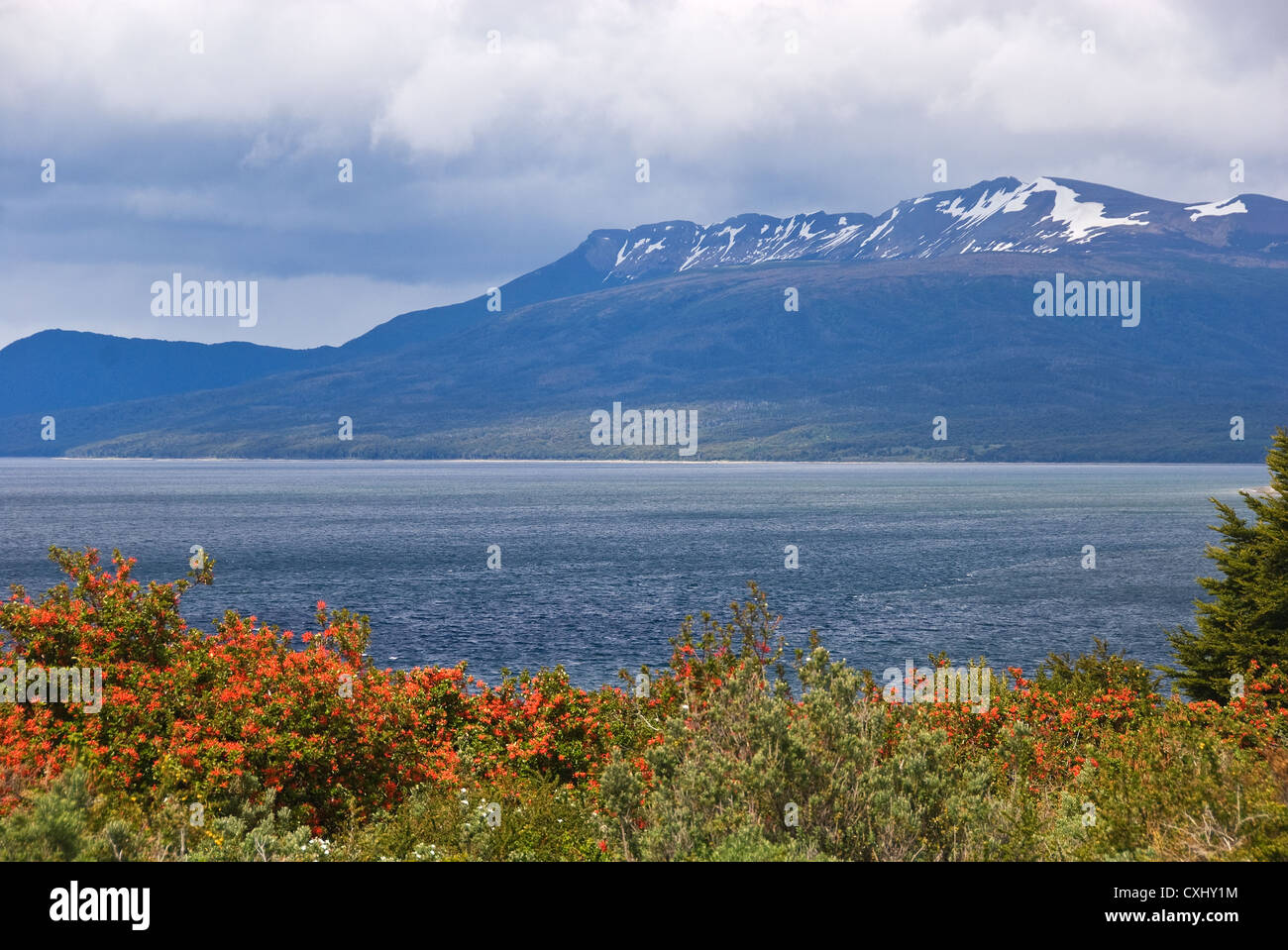 Chile coastal hi-res stock photography and images - Alamy