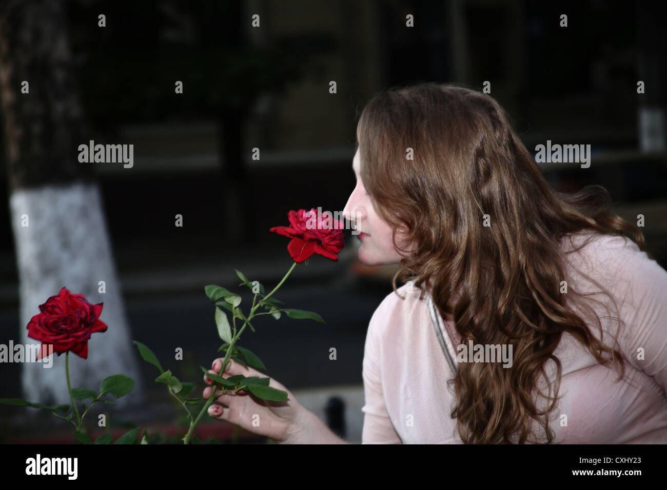 girl and the rose, higt contrast Stock Photo - Alamy