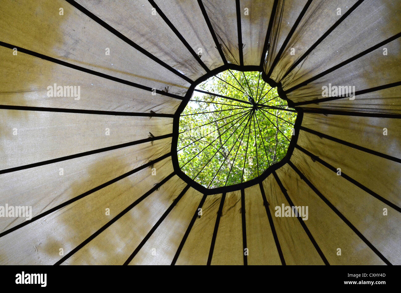Parachute canopy used as a shelter, showing foliage outside. Focus in ...