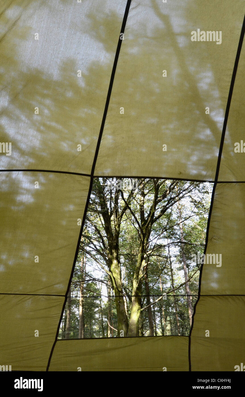 Canopy of a parachute hi-res stock photography and images - Alamy
