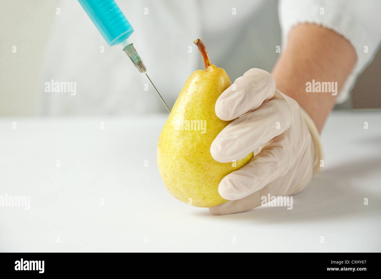 Sweet yellow pear in genetic engineering laboratory, gmo food concept ...