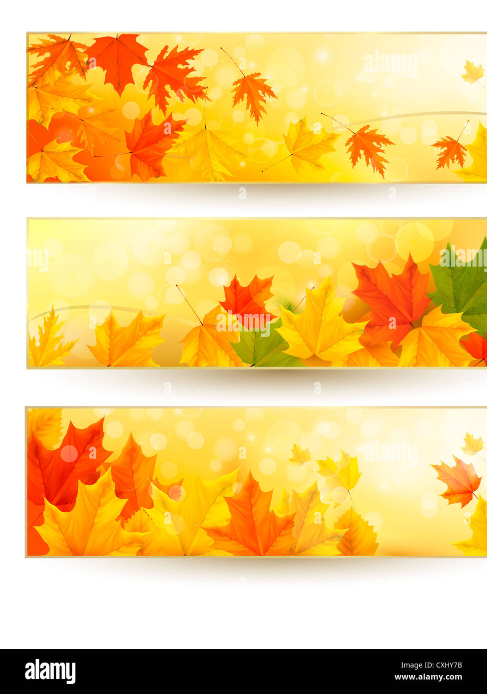 Three autumn banners with colorful leaves in golden frames Stock Photo ...