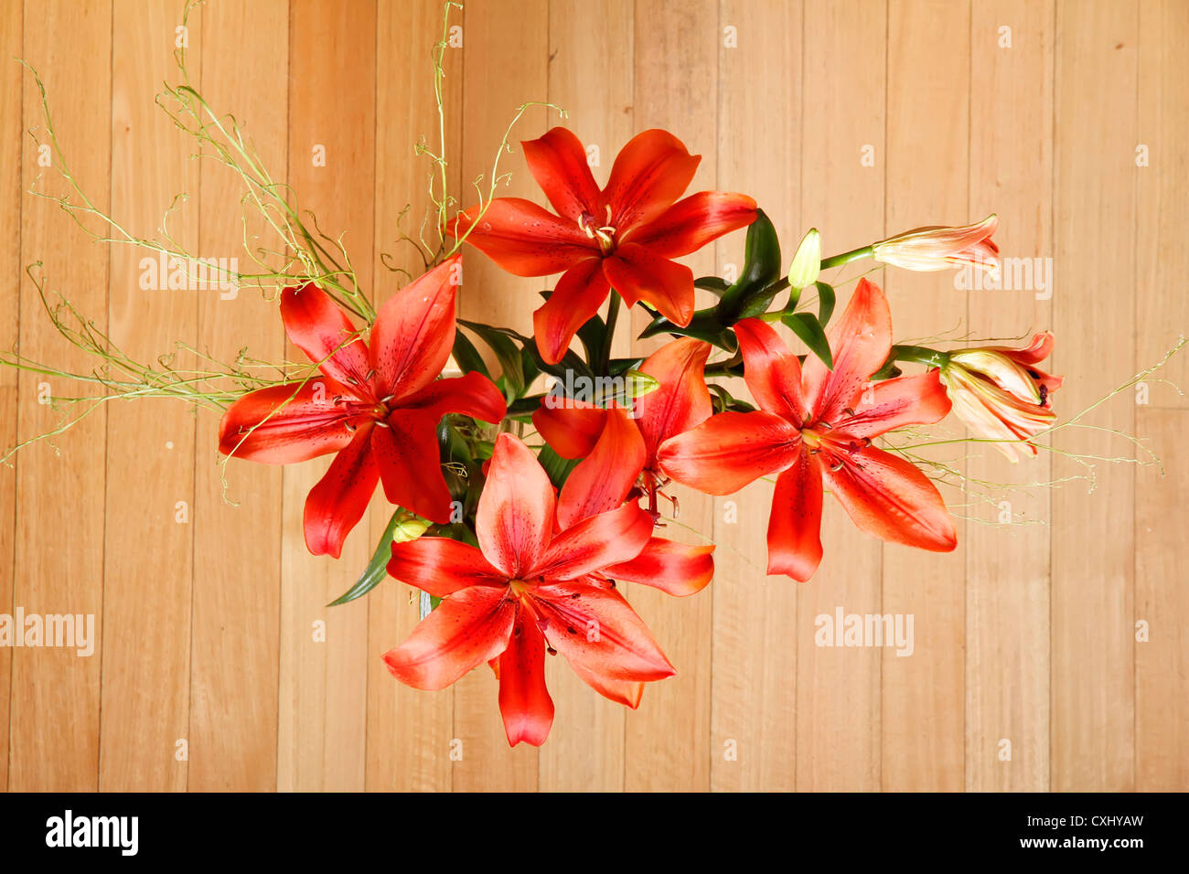 A Bouquet of blooming Lilium Flowers Stock Photo - Alamy