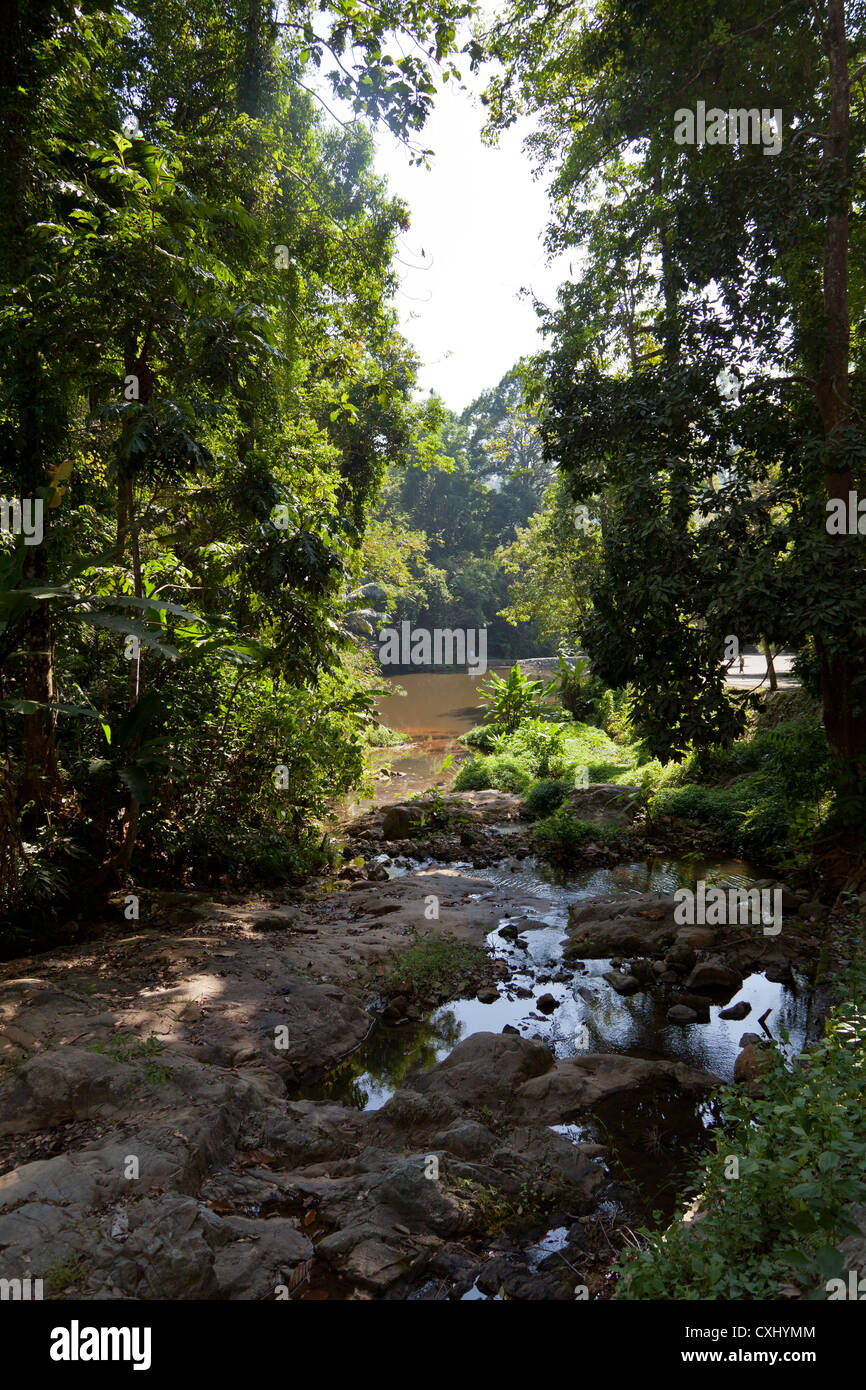 Ton sai waterfall hi-res stock photography and images - Alamy