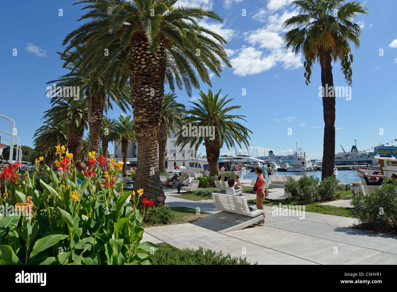 The Riva Waterfront, Split, Split-Dalmatia County, Croatia Stock Photo ...