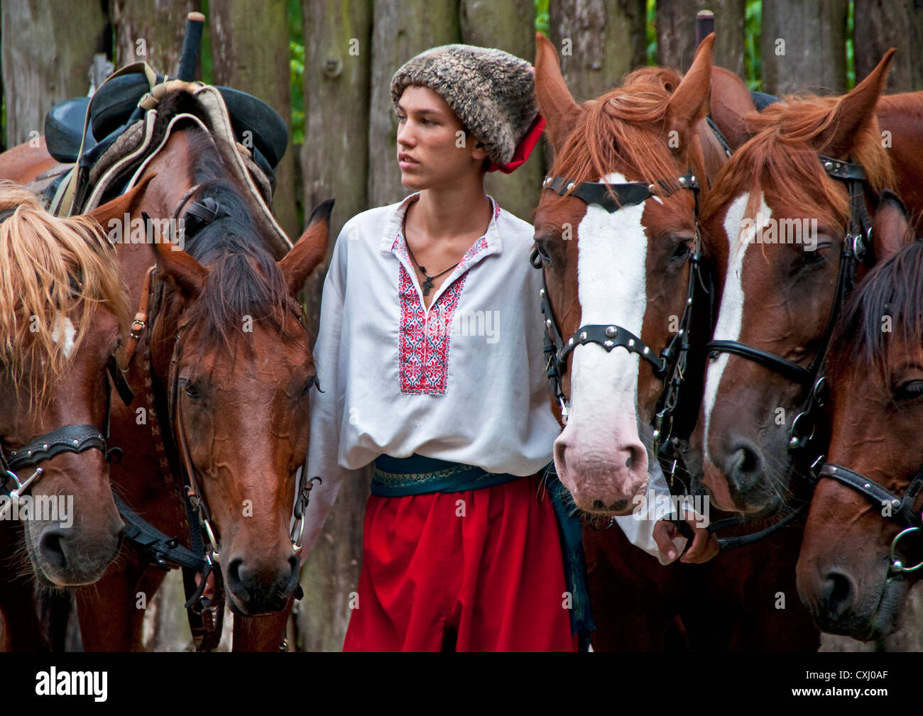Young Cossack man tending horses at Cossack Horse Show on Khortitsa ...