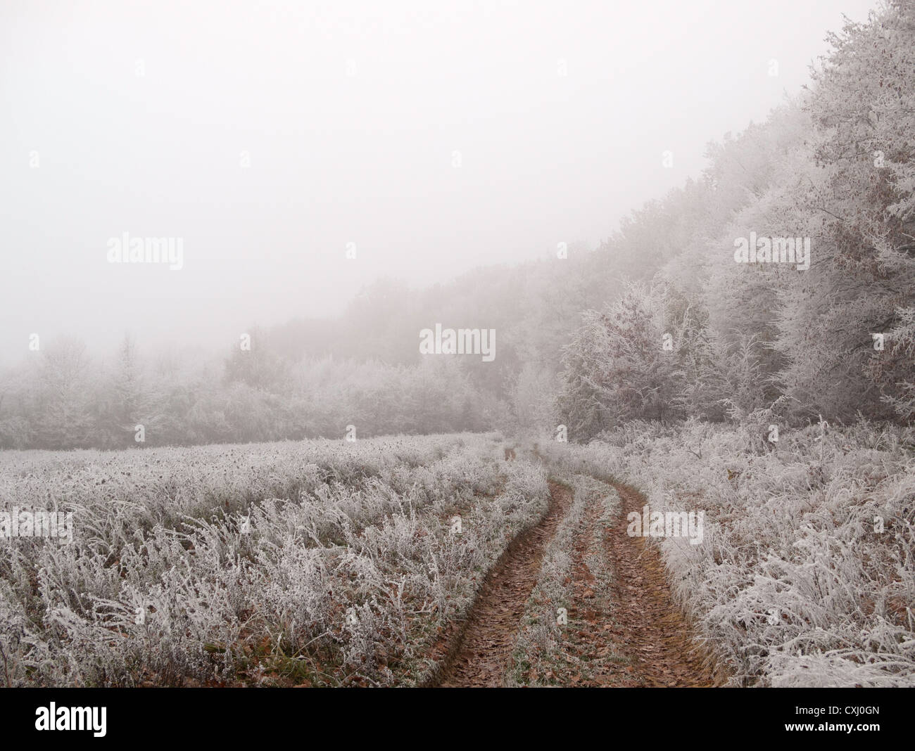 Landscapes image of Dugo Selo, Croatia surroundings Stock Photo - Alamy