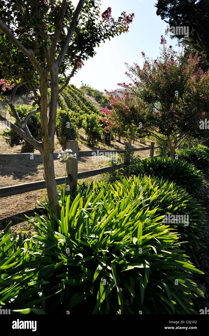 Benziger winery hi-res stock photography and images - Alamy
