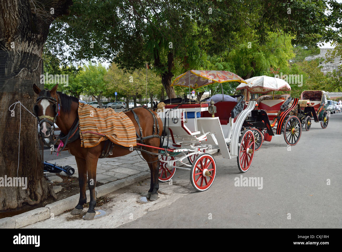 Decorated horse carriages in Old Corfu Town, Kerkyra, Corfu, Ionian ...