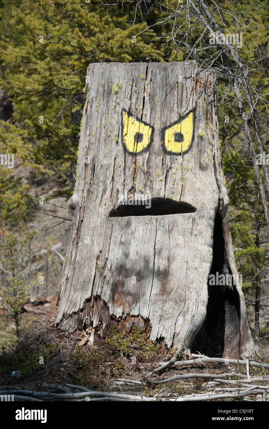 Painted face on a tree stump in the forest of Montana Stock Photo - Alamy