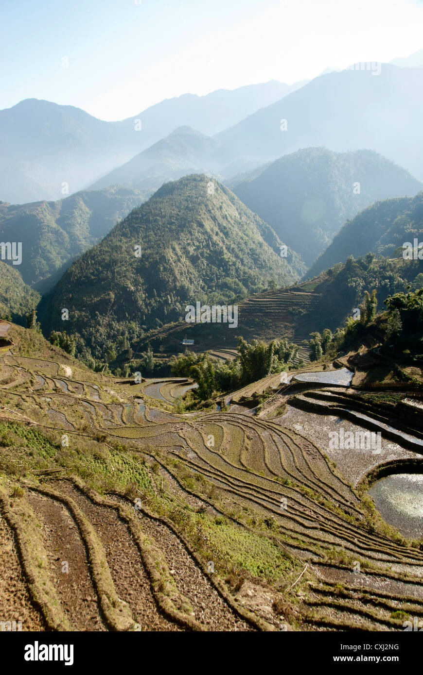 Mountain Rice Patties