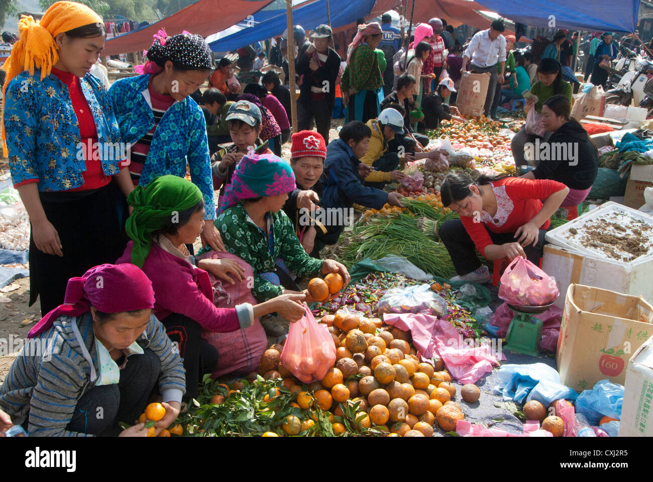 Ethnic Hmong hill tribe people in Market at Chanz Kim, near Dong Van ...