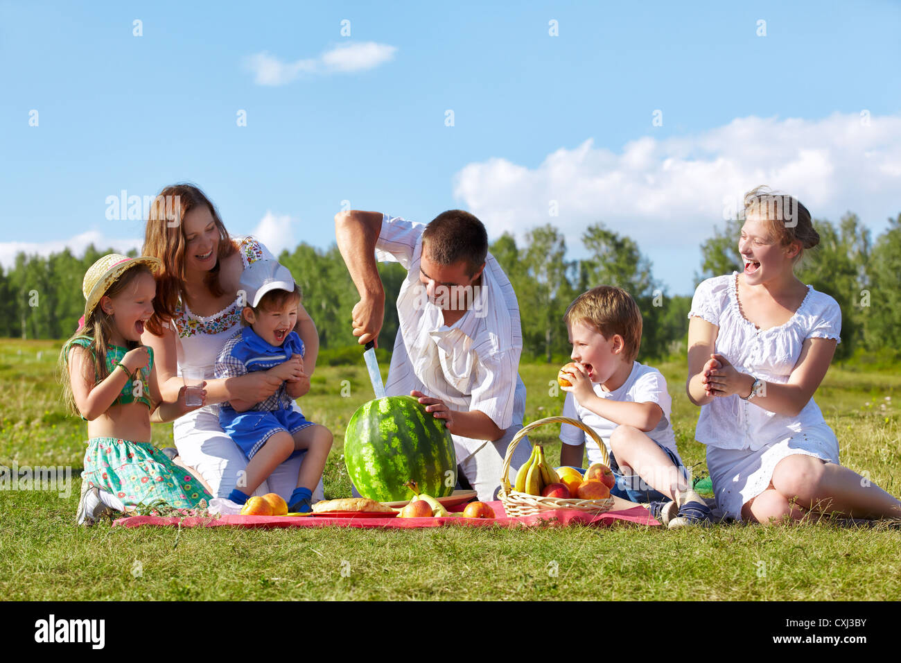 family picnic in park Stock Photo - Alamy