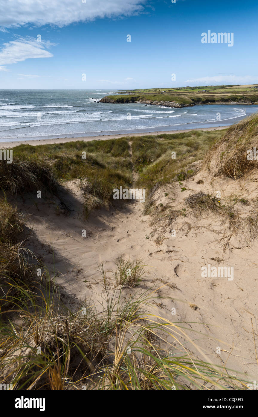 The marram grass anglesey hi-res stock photography and images - Alamy