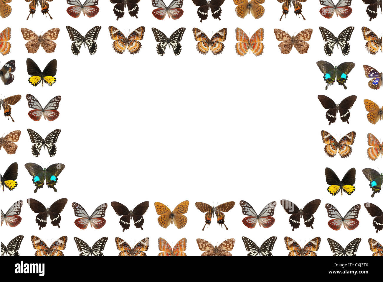 butterfly frame background Stock Photo - Alamy