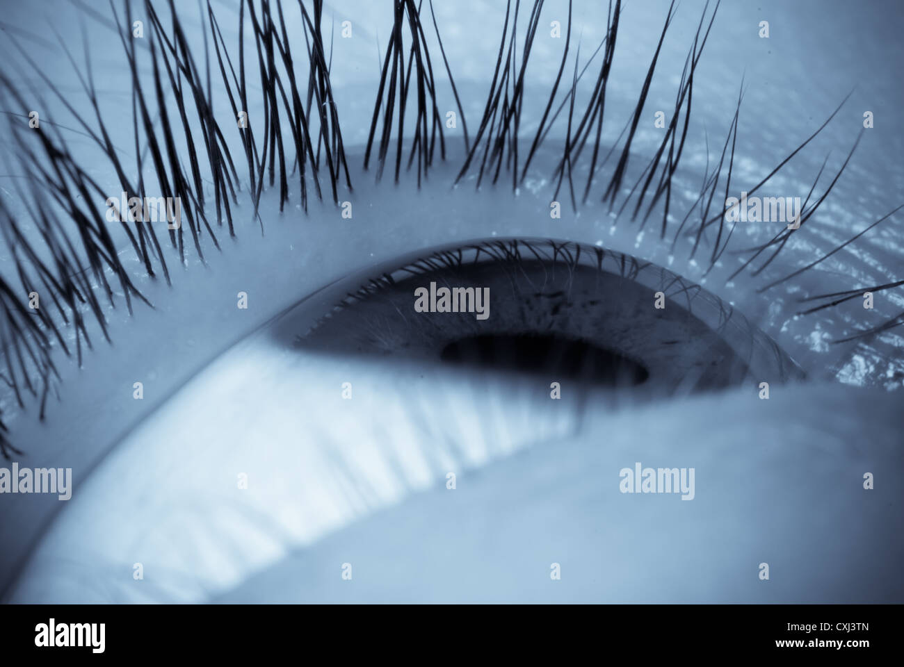 Macro eye ball hi-res stock photography and images - Alamy