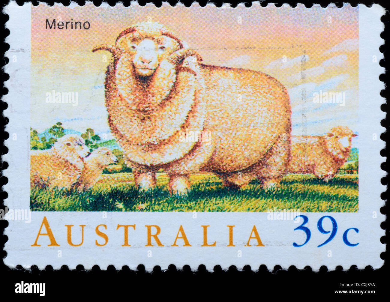 AUSTRALIA stamp shows Merino sheep Stock Photo - Alamy