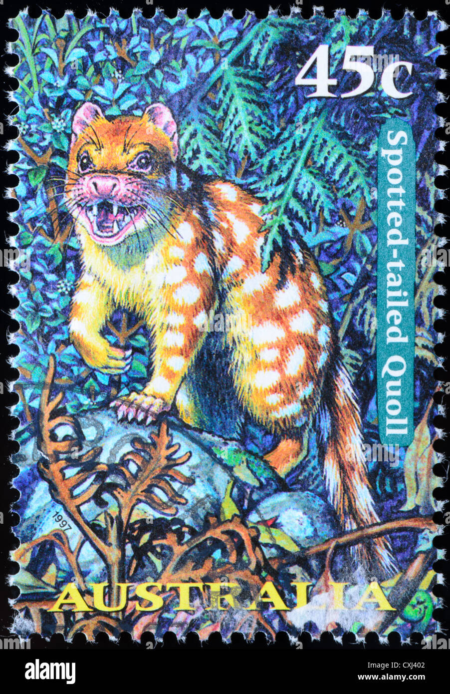 Spotted Tail High Resolution Stock Photography and Images - Alamy