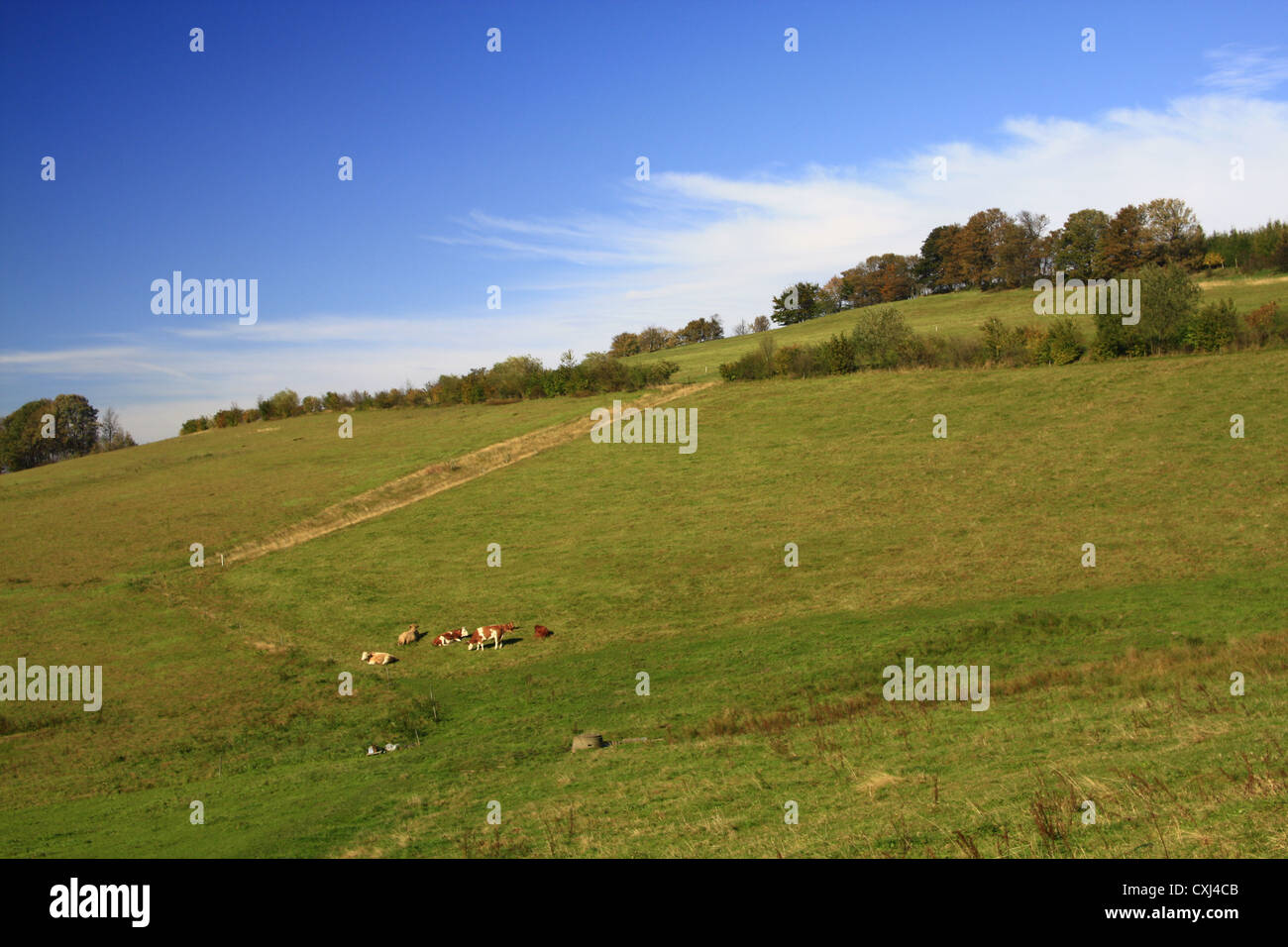 Erzgebirge hi-res stock photography and images - Alamy