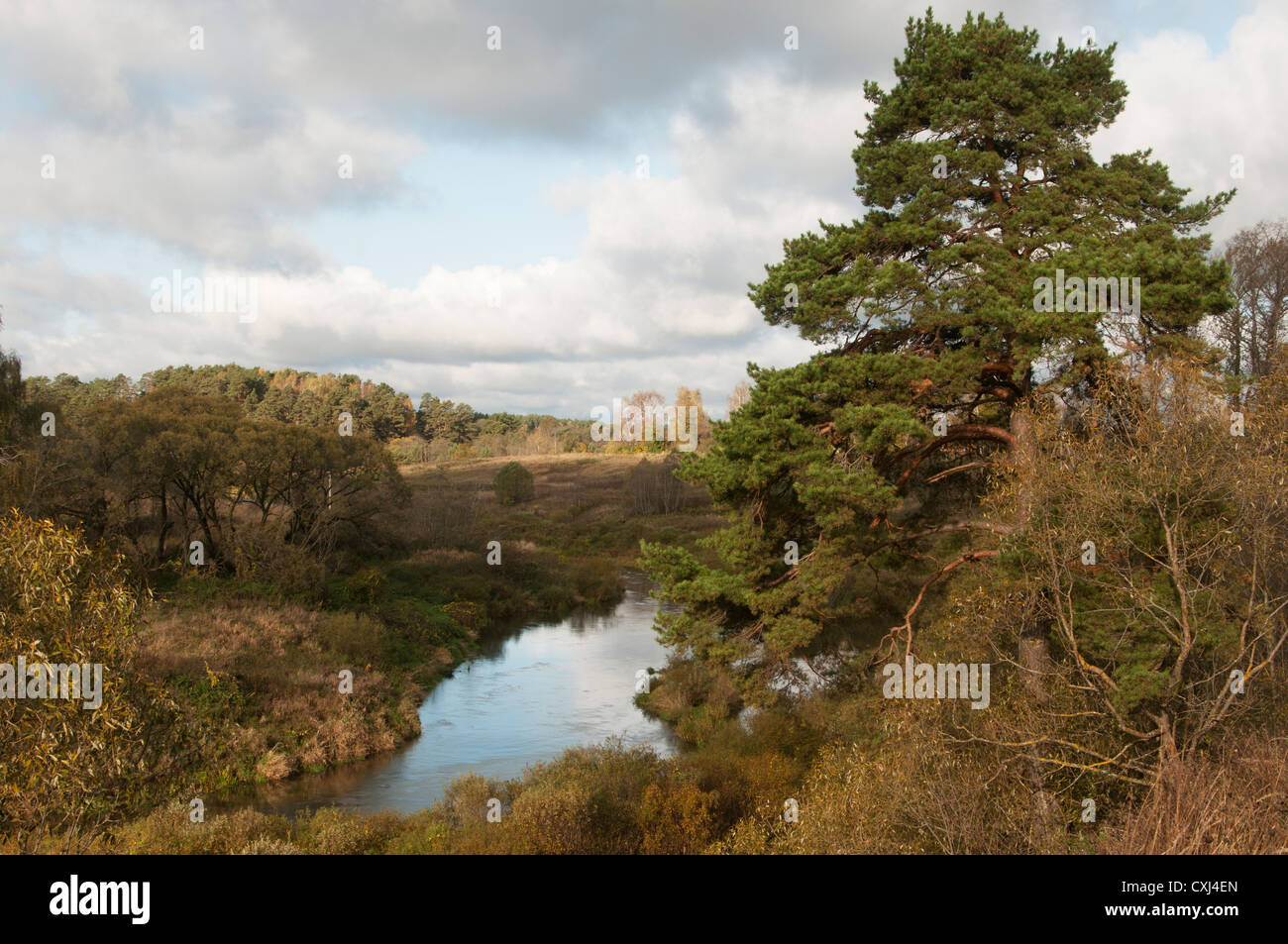 Autumn landscape with river and trees Stock Photo - Alamy