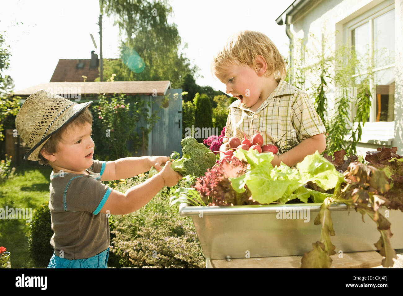 3 boys eating food garden hi-res stock photography and images - Alamy