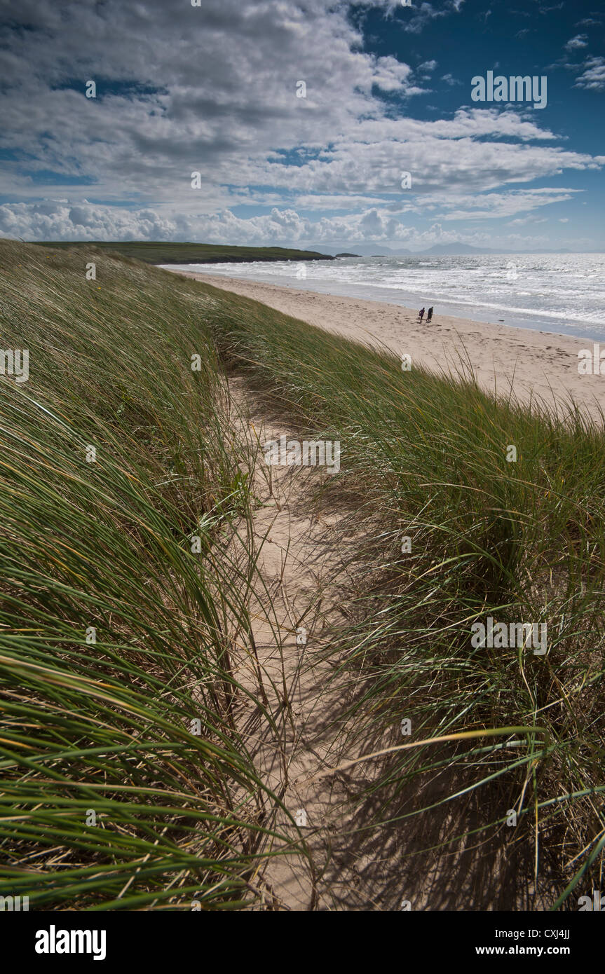 Aberffraw dunes and beach at Aberffraw bay on Anglesey Stock Photo - Alamy