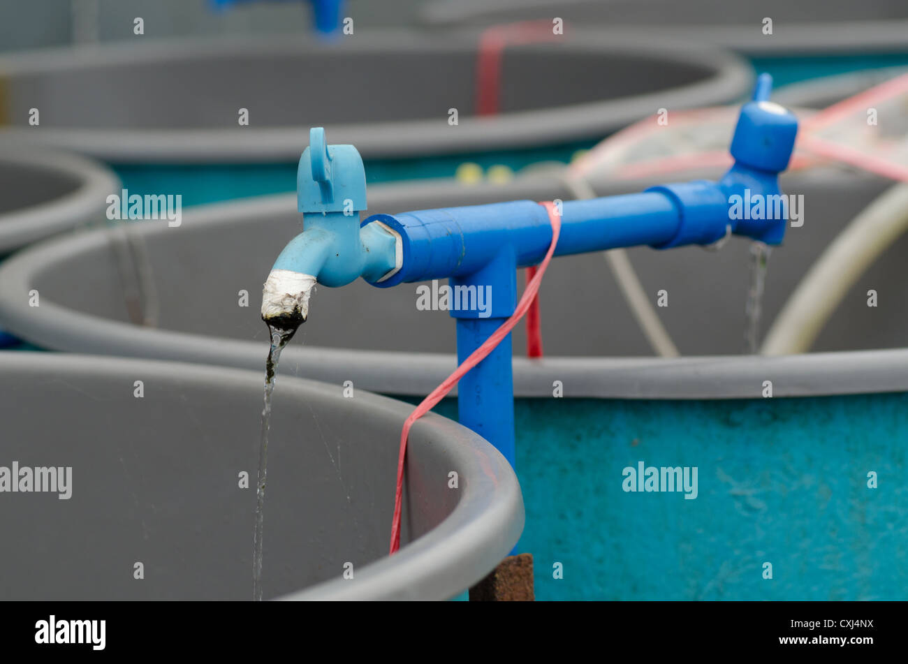 Agriculture aquaculture water system farm Stock Photo - Alamy