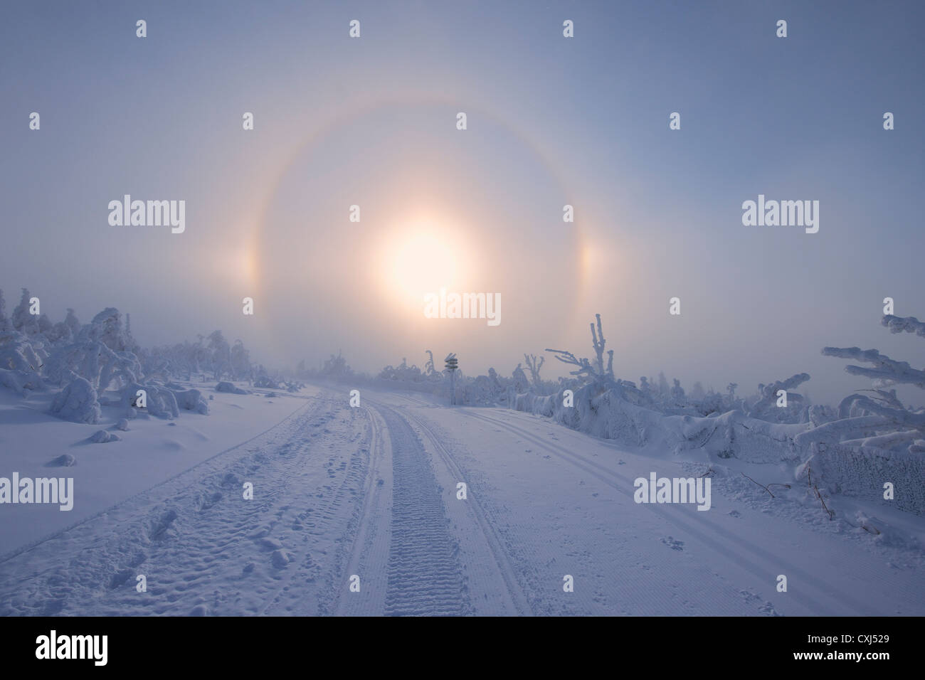 Germany, Saxony, View of sundog with snowy landscape Stock Photo - Alamy