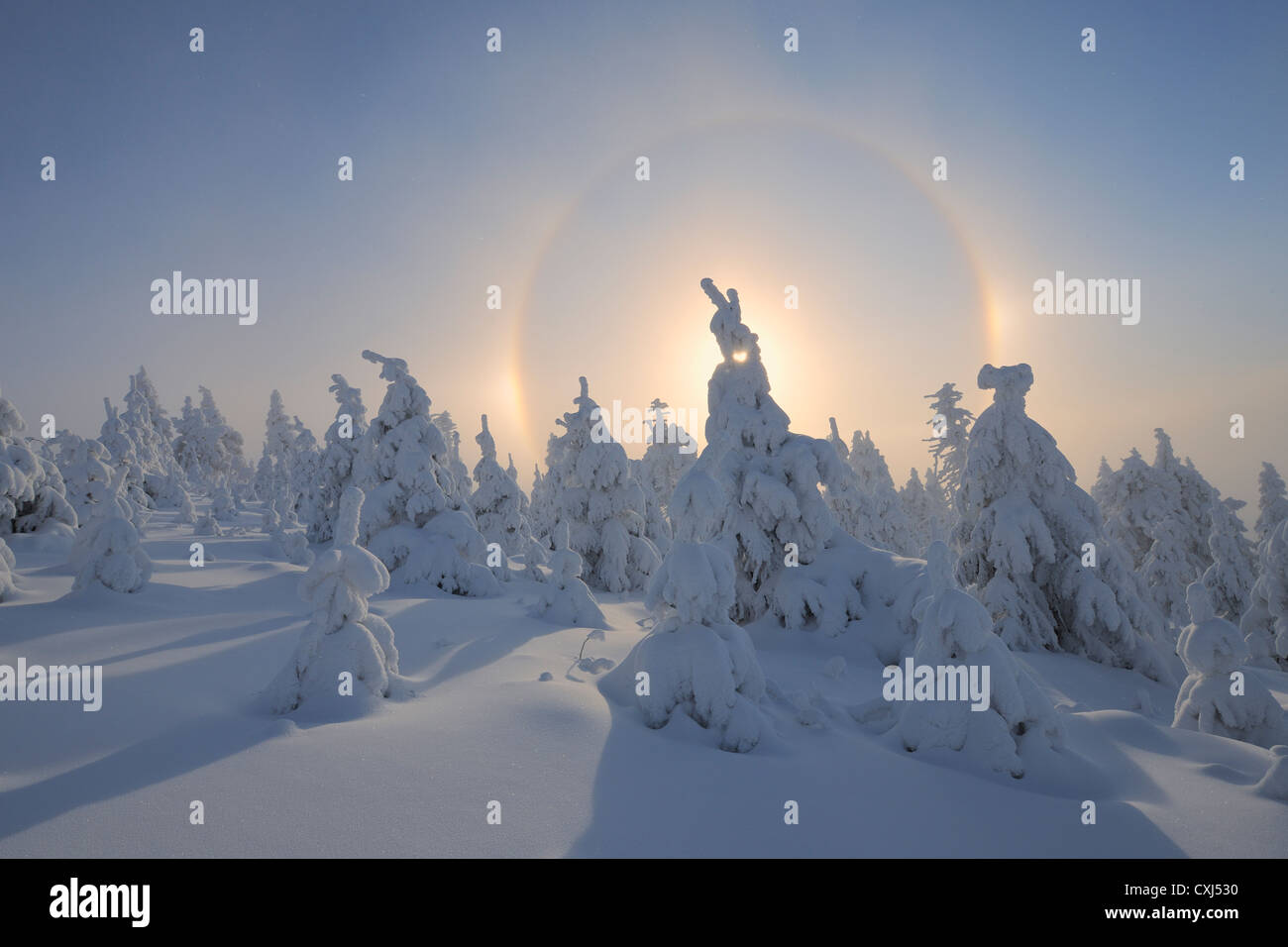 Germany, Saxony, View of sundog with snowy landscape Stock Photo - Alamy