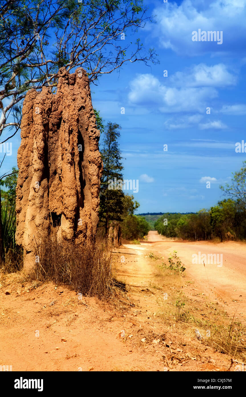 Termite tower hi-res stock photography and images - Alamy