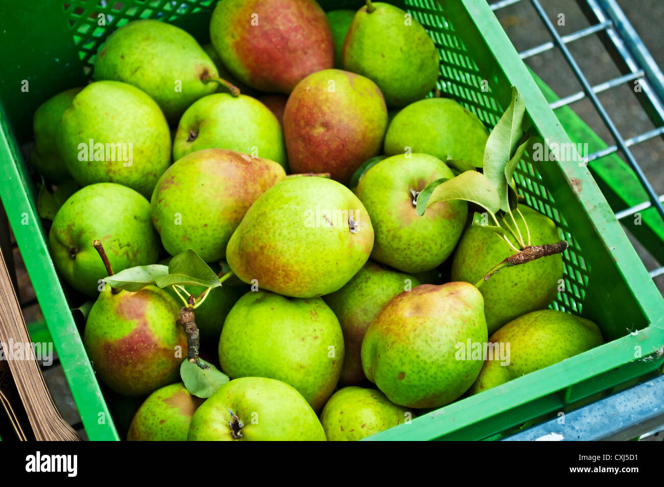 pears at a farmer market Stock Photo - Alamy