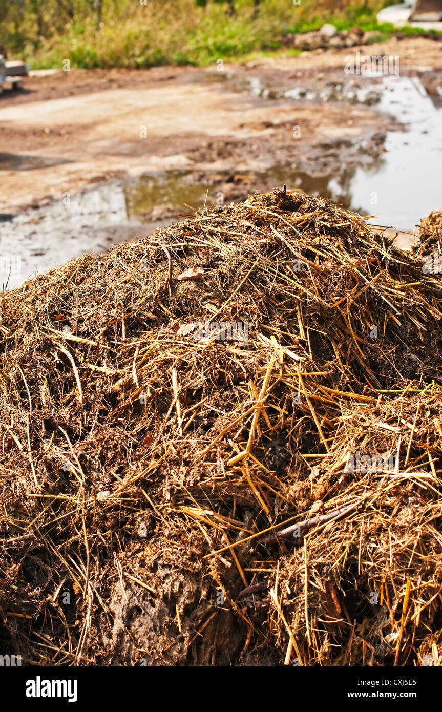 Dung heap hi-res stock photography and images - Alamy