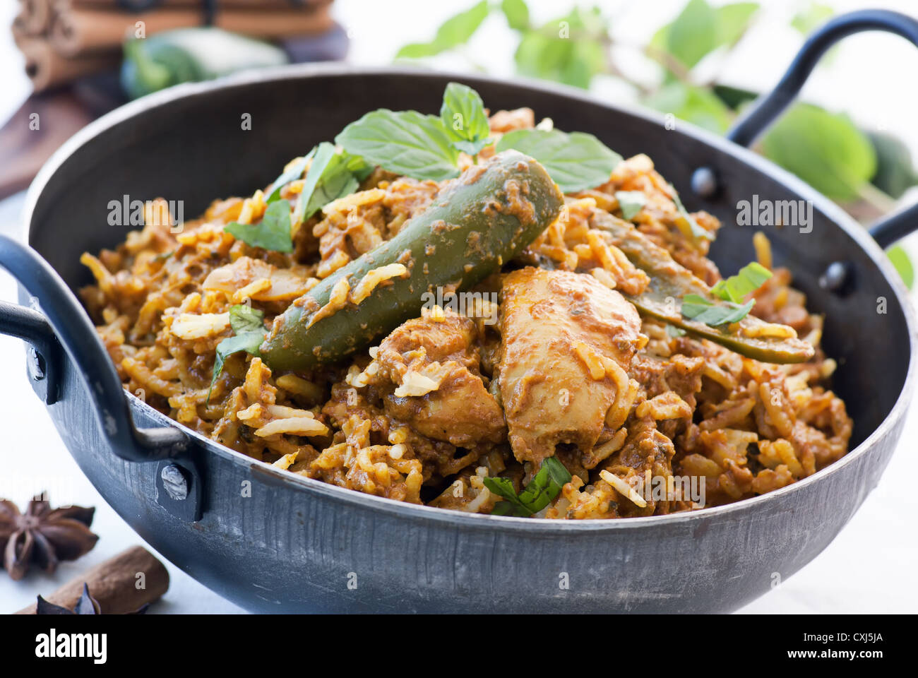 Traditional Indian Biryani as closeup on a white plate Stock Photo - Alamy