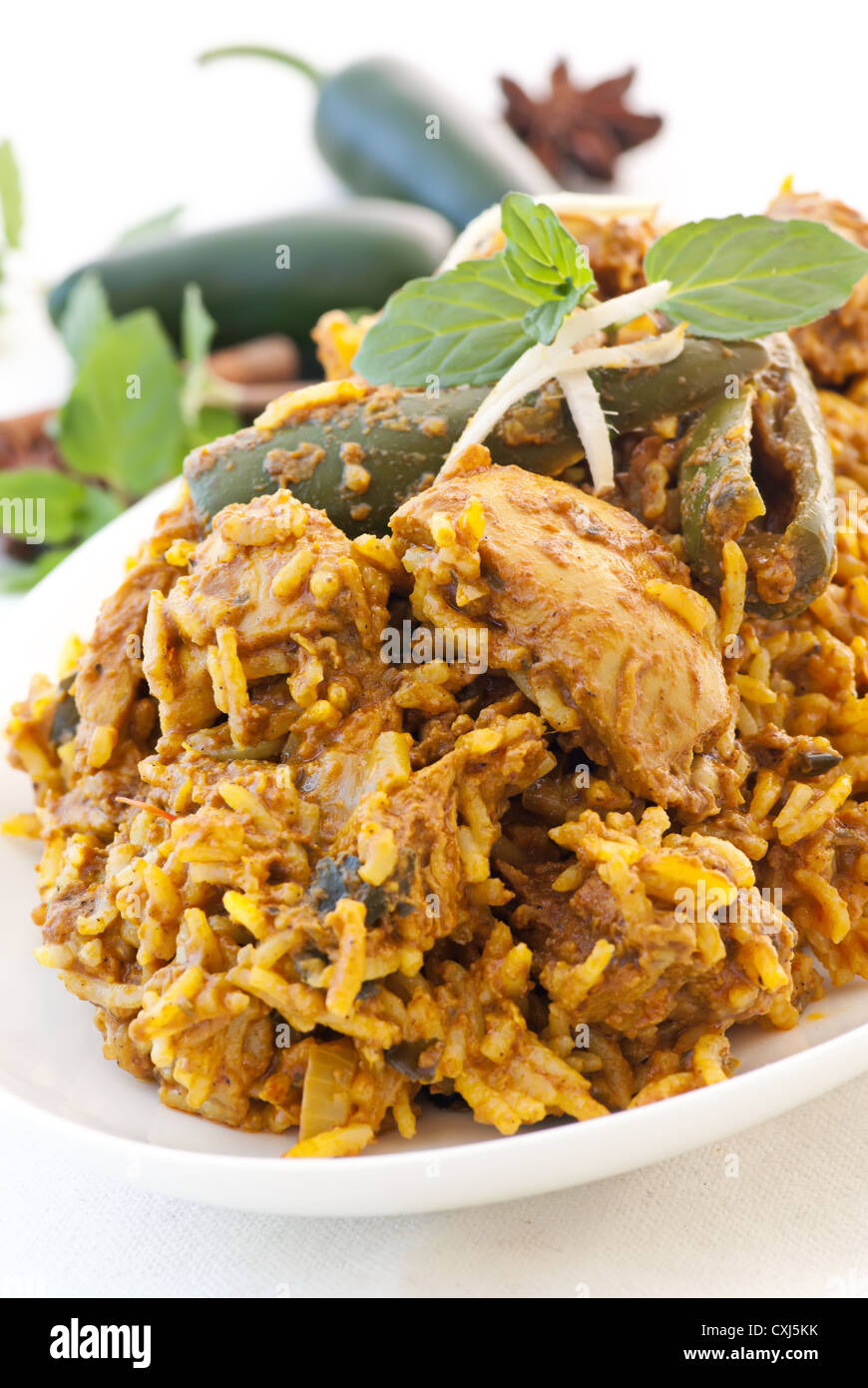 Traditional Indian Biryani as closeup on a white plate Stock Photo - Alamy